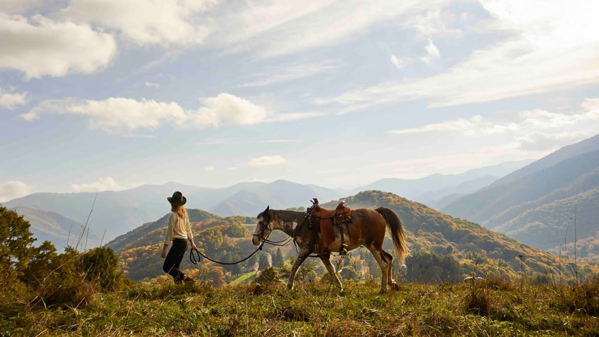Luxurious Smoky Mountain Escapes: NC's Premier Mountain Retreats ...